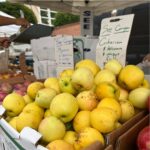 27 Delicious Yellow Apple Varieties Perfect For Your Garden