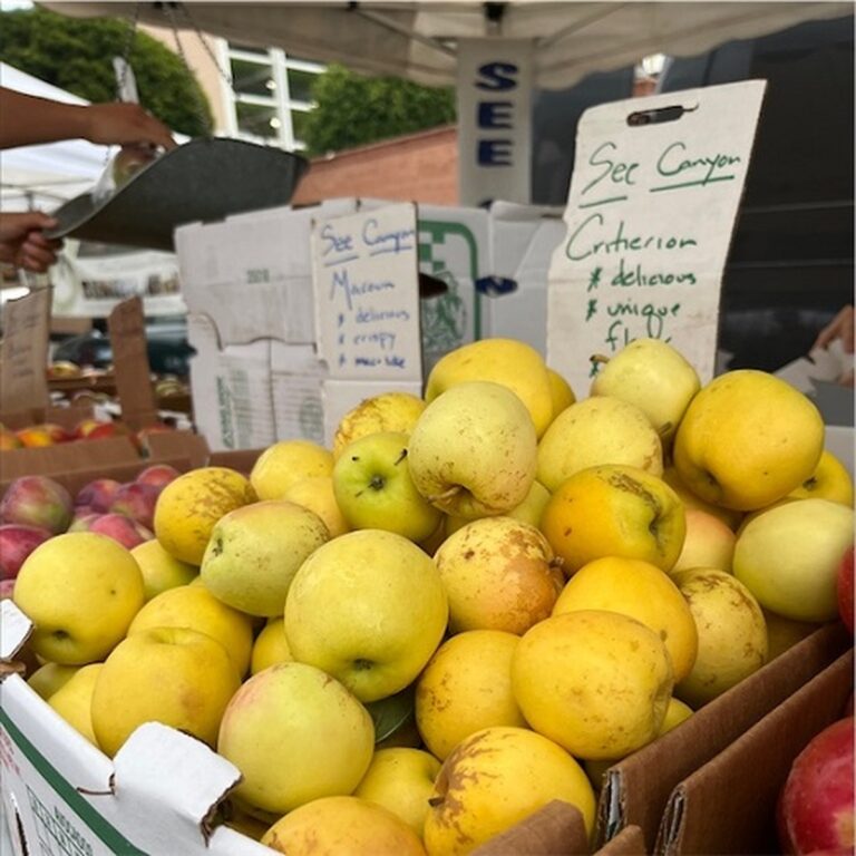 27 Delicious Yellow Apple Varieties Perfect For Your Garden
