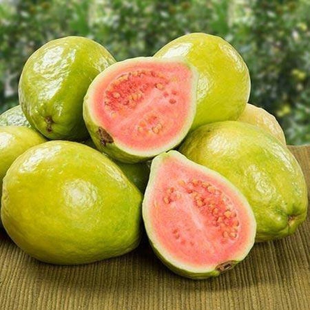 9 Delicious Red and Pink Guava Varieties to Try Today