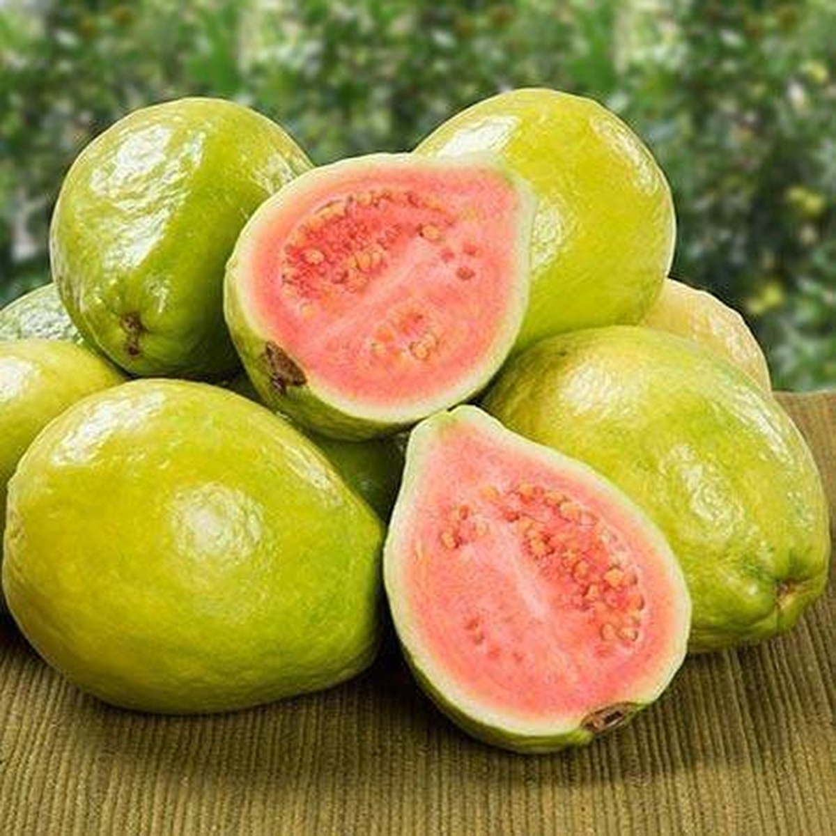 9 Delicious Red and Pink Guava Varieties to Try Today