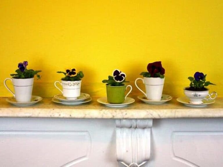 31 Adorable DIY Teacup Garden Ideas Everyone Will Love