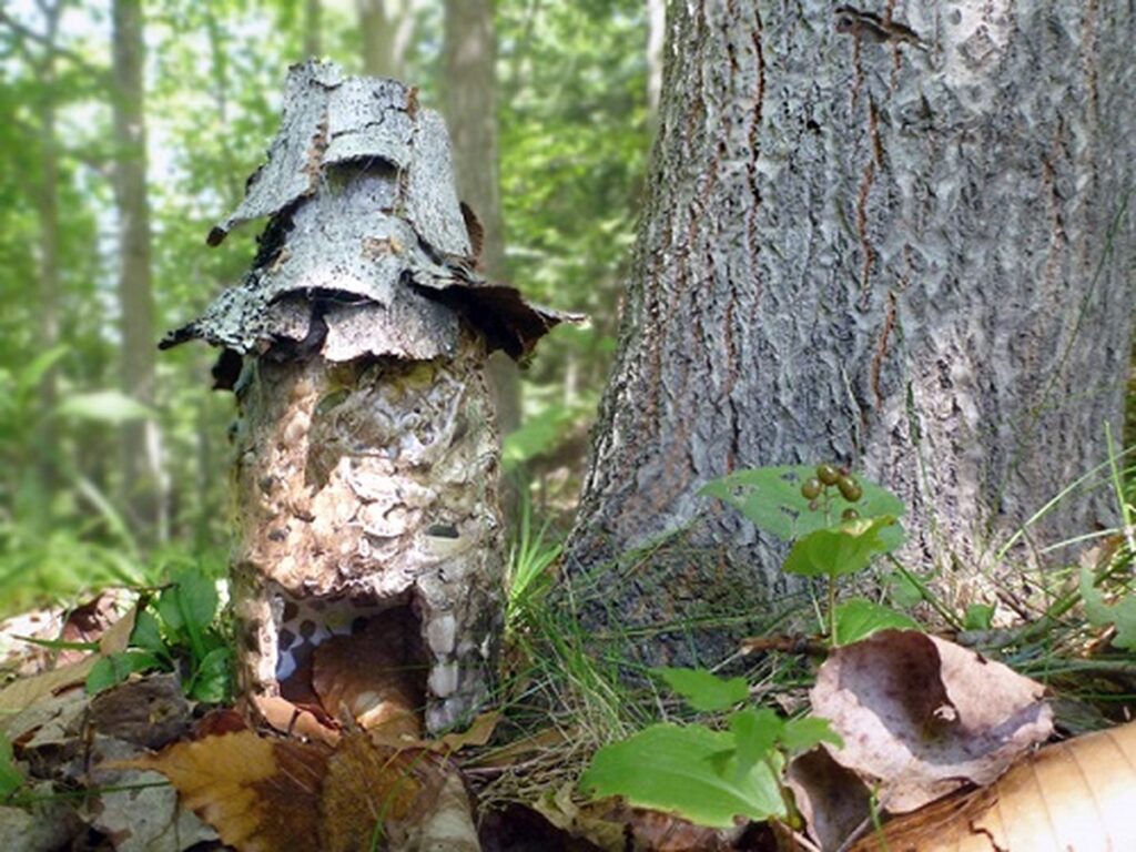 23 Cozy DIY Frog House Ideas That Keep Garden Pests Away