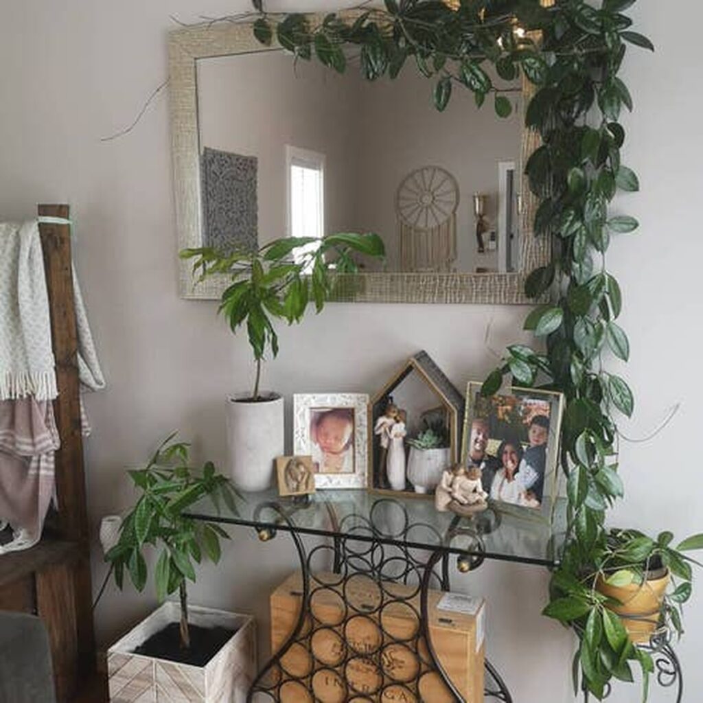 40 Charming Ways to Display Vines Both Indoors and Outdoors