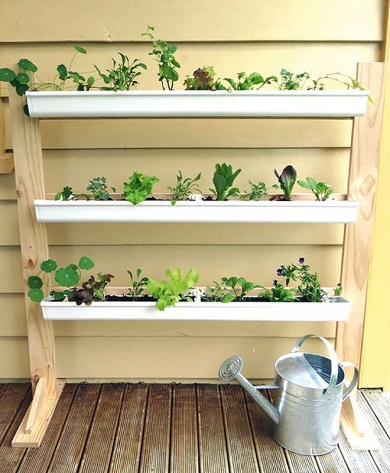 24 Vertical Garden Types for Your Indoor Space