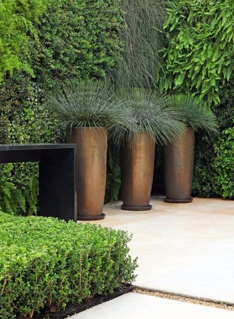 30 Stunning Architectural Plants Perfect for Container Gardening