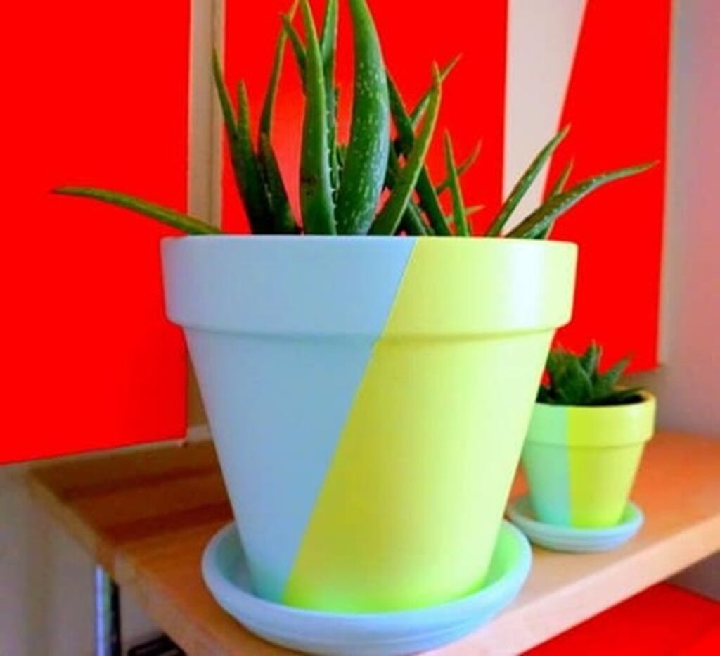 60 Creative DIY Pot Painting Ideas For The Garden to Try Today