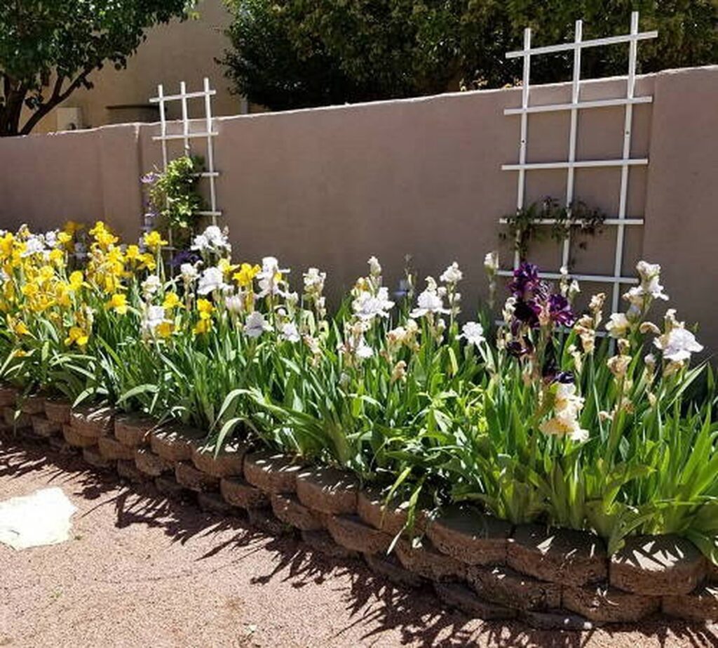 24 Stunning Iris Arrangement Ideas That Brighten Any Space
