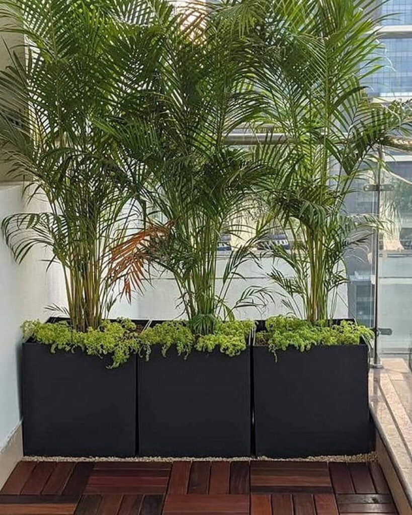 32 Stunning Indoor Privacy Ideas with Plants That Transform Homes