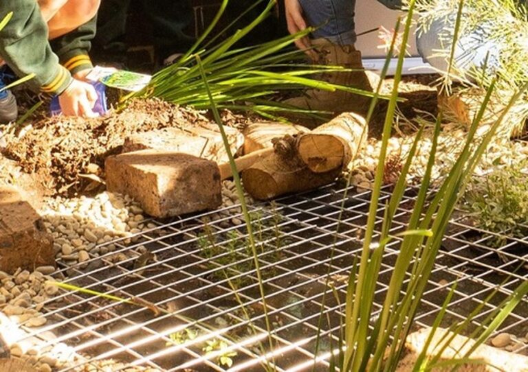23 Cozy DIY Frog House Ideas That Keep Garden Pests Away
