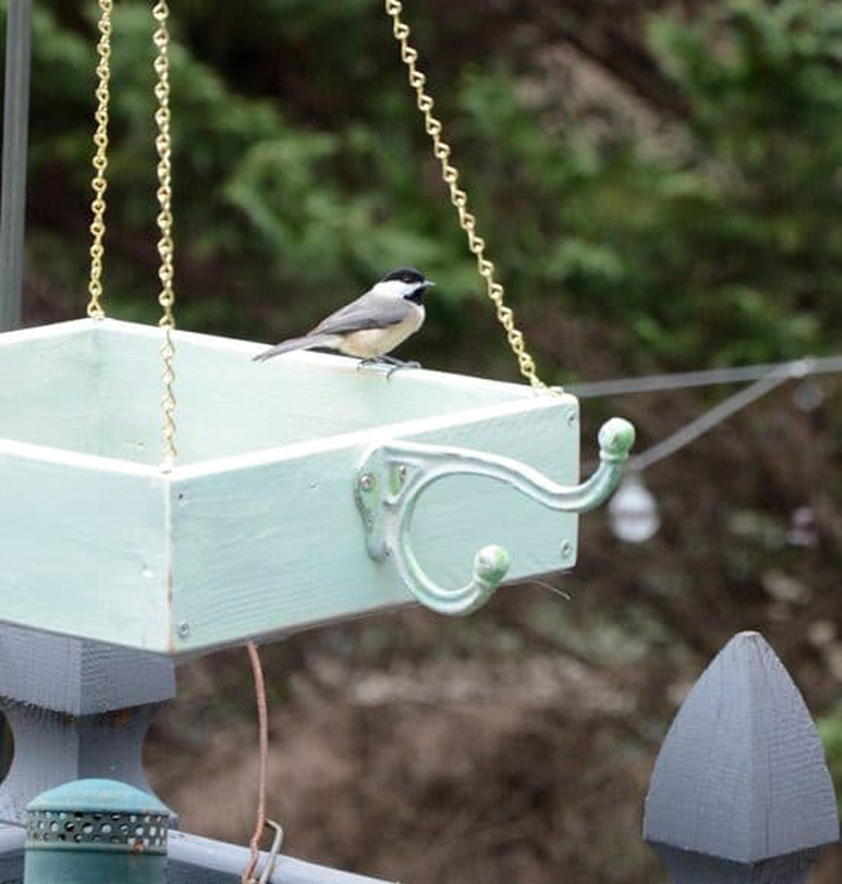 8 Clever DIY Squirrel Proof Bird Feeder Ideas That Actually Work