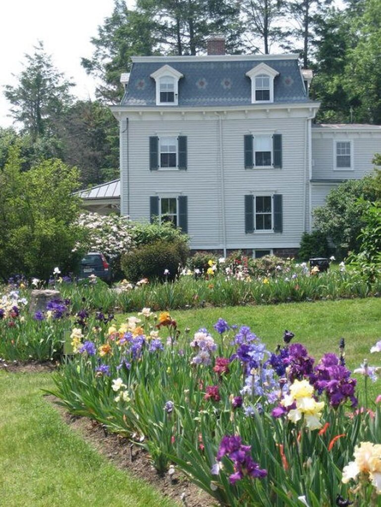 24 Stunning Iris Arrangement Ideas That Brighten Any Space
