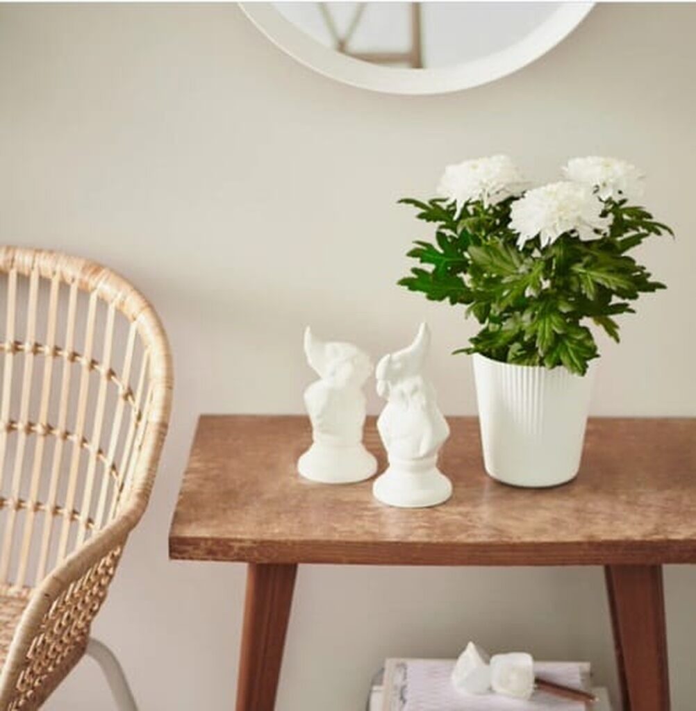 27 Stunning Ways IKEA Pots Transform Your Indoor Plants