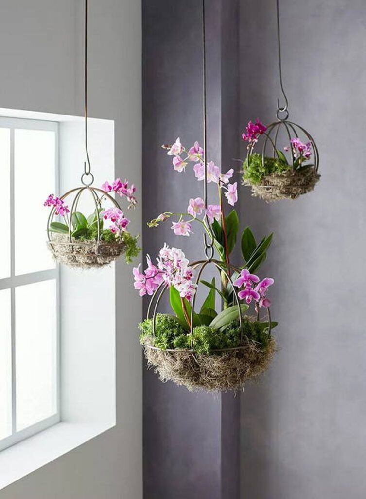 19 Stunning Orchid Arrangement Ideas to Brighten Your Space