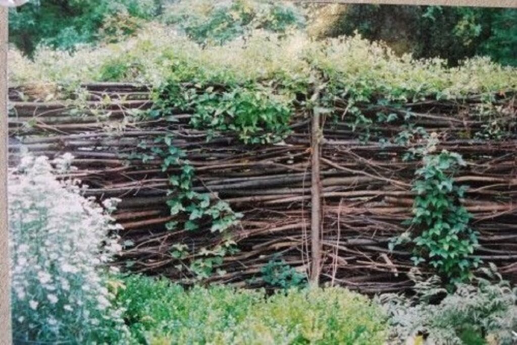 29 Ideally Rustic Fence Ideas That Transform Any Space