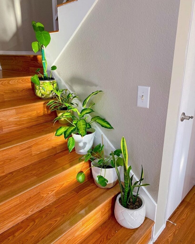 20 Stunning Plants for Steps and Staircases That Transform Space