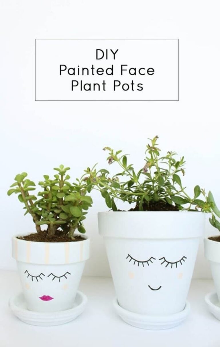 20 Simple DIY Face Planters to Make at Home in Minutes