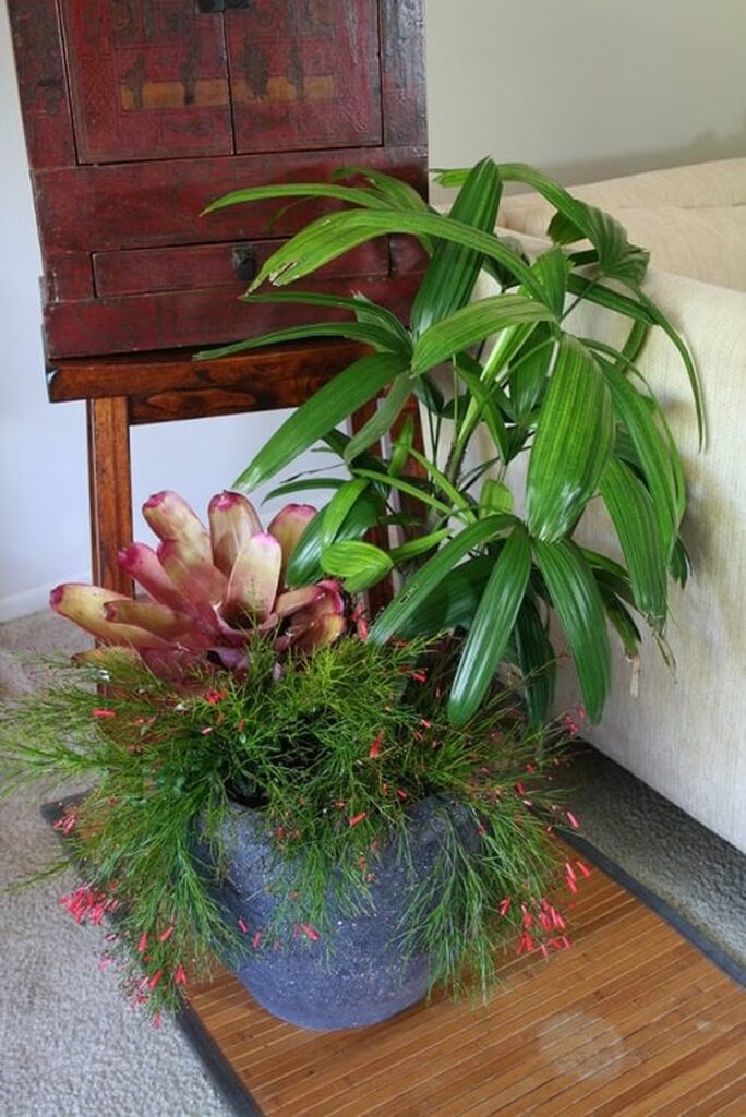 21 Gorgeous Houseplant Combination Ideas To Refresh Your Space