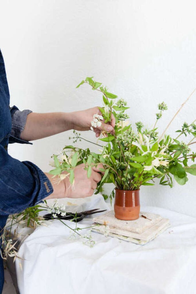 44 Stunning Hanging Succulents with Pictures to Inspire You
