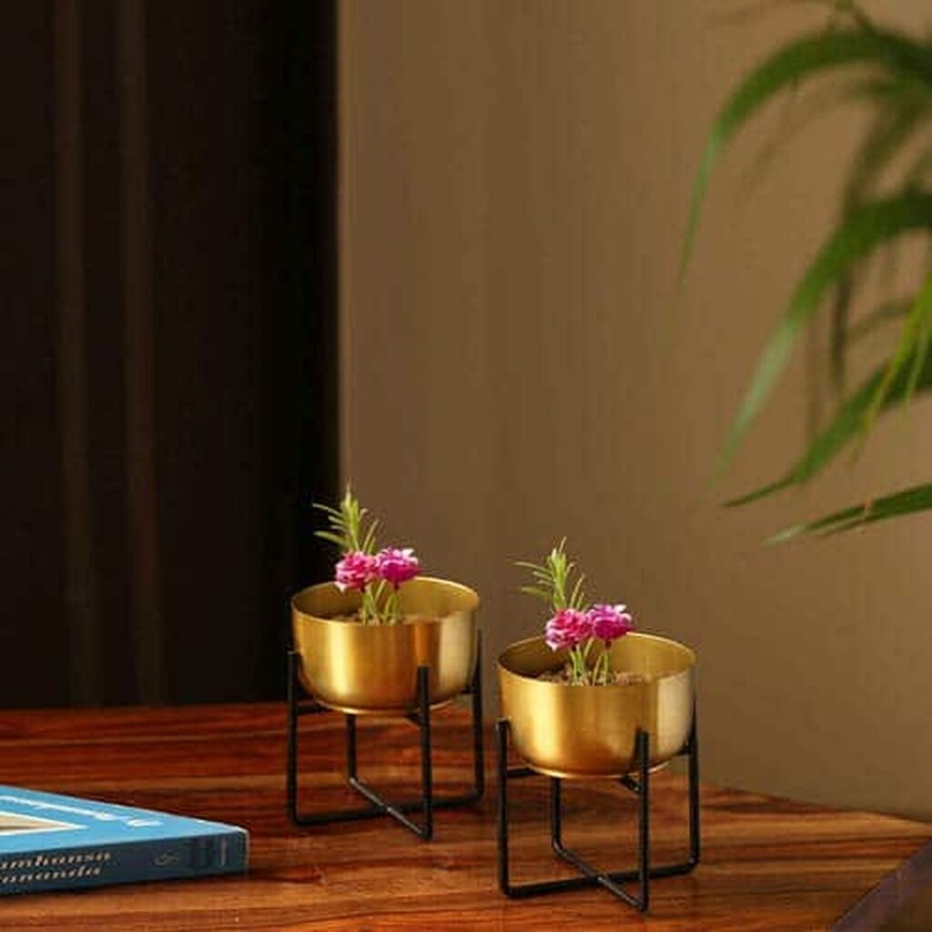 20 Charming Table Decorating Ideas with Small Potted Houseplants