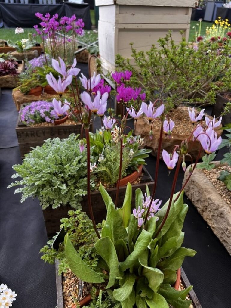 39 Amazing Outdoor Plants That Grow Without Sunlight