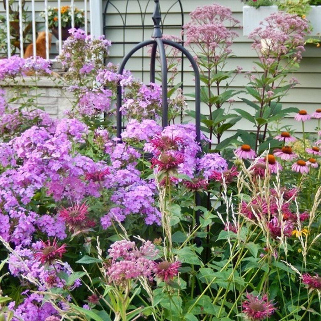 25 Genius Plant Support Ideas That Really Work