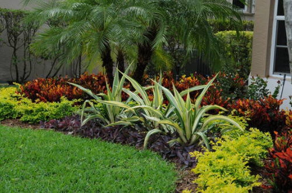 25 Breathtaking Landscaping with Croton Pictures to Inspire