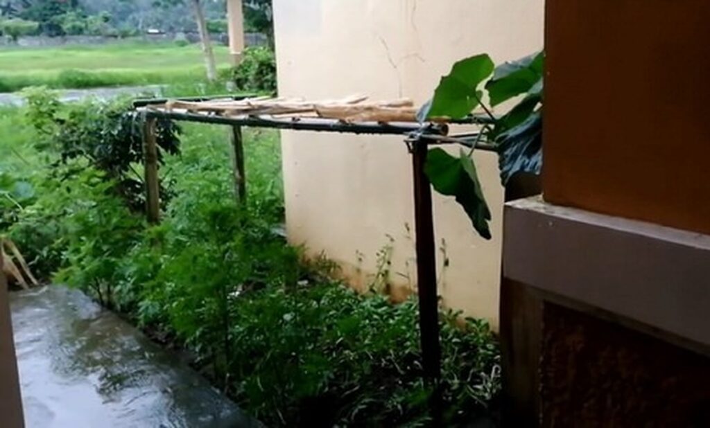 17 Fantastic DIY Squash Trellis Ideas for Your Garden