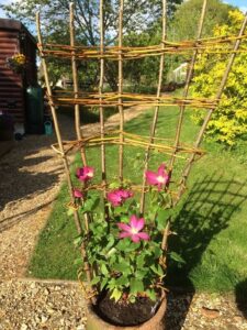 25 Genius Plant Support Ideas That Really Work
