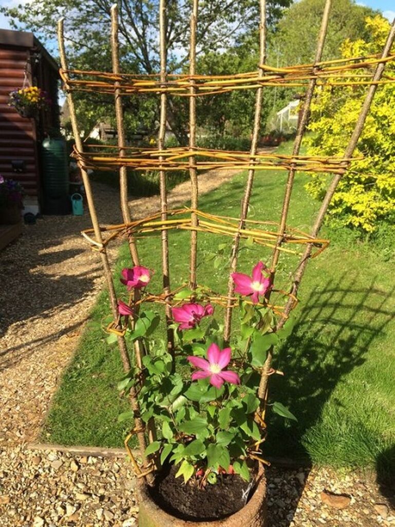 25 Genius Plant Support Ideas That Really Work