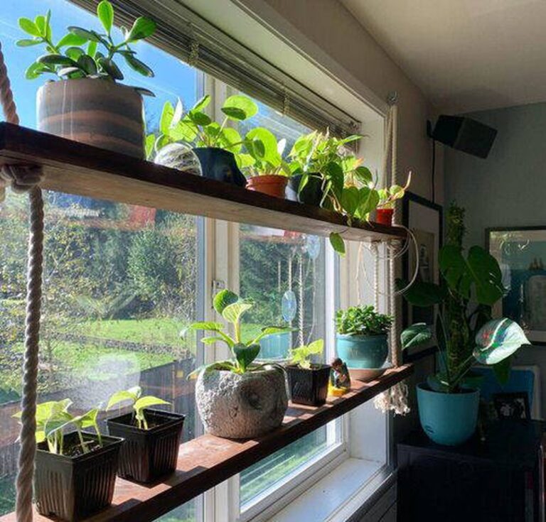 26 Charming Indoor Window Shelf Ideas for Plants to Brighten Up