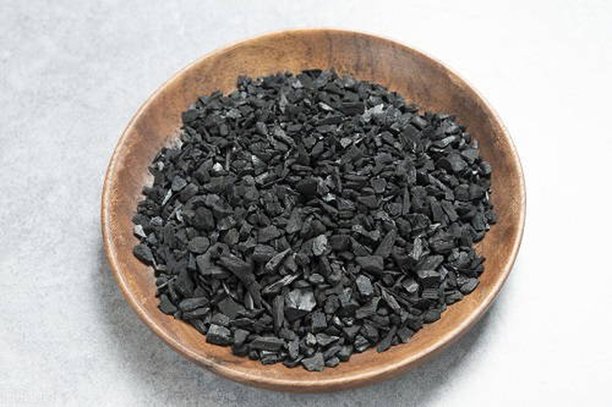 11 Surprising Uses of Charcoal in the Garden for Healthier Soil