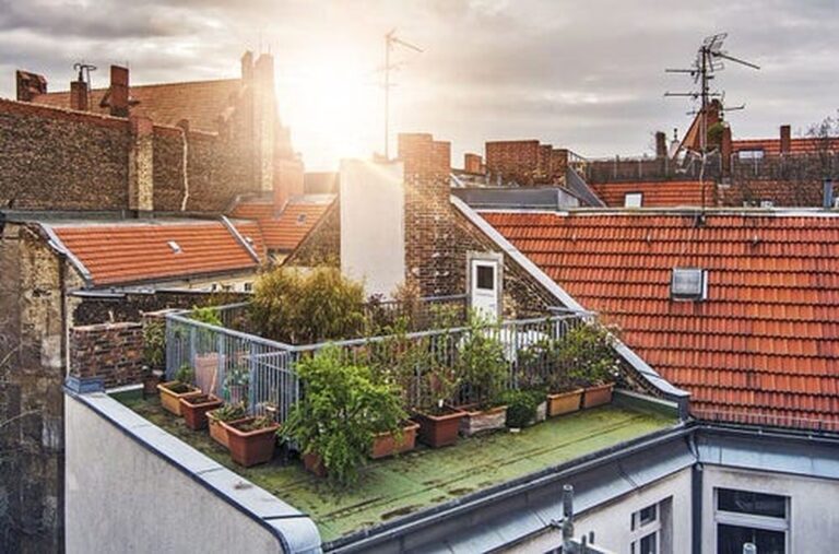 81 Cozy Small City Garden Ideas to Transform Urban Spaces