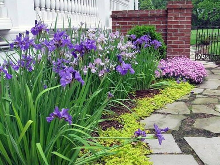 24 Stunning Iris Arrangement Ideas That Brighten Any Space