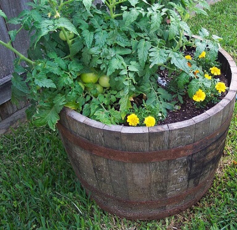 31 Gorgeous Plants For Barrels That Will Transform Your Garden