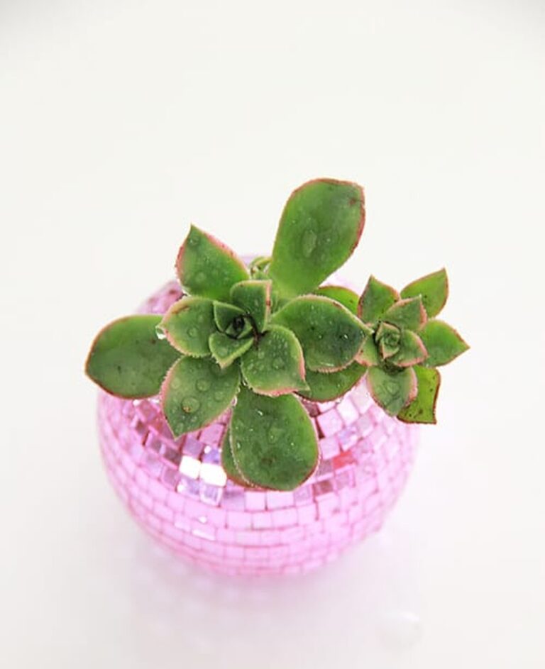 20 Brilliant Ways to Transform Cheap Pots into Expensive DIY Planters