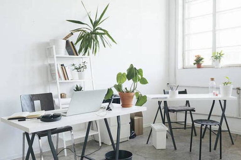 20 Charming Office Plant Decor Ideas for a Fresh Workspace