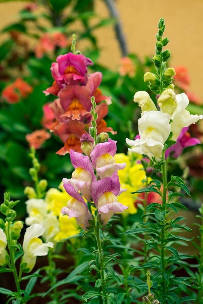 25 Powerful Flowers That Represent Strength - Nature's Warriors!