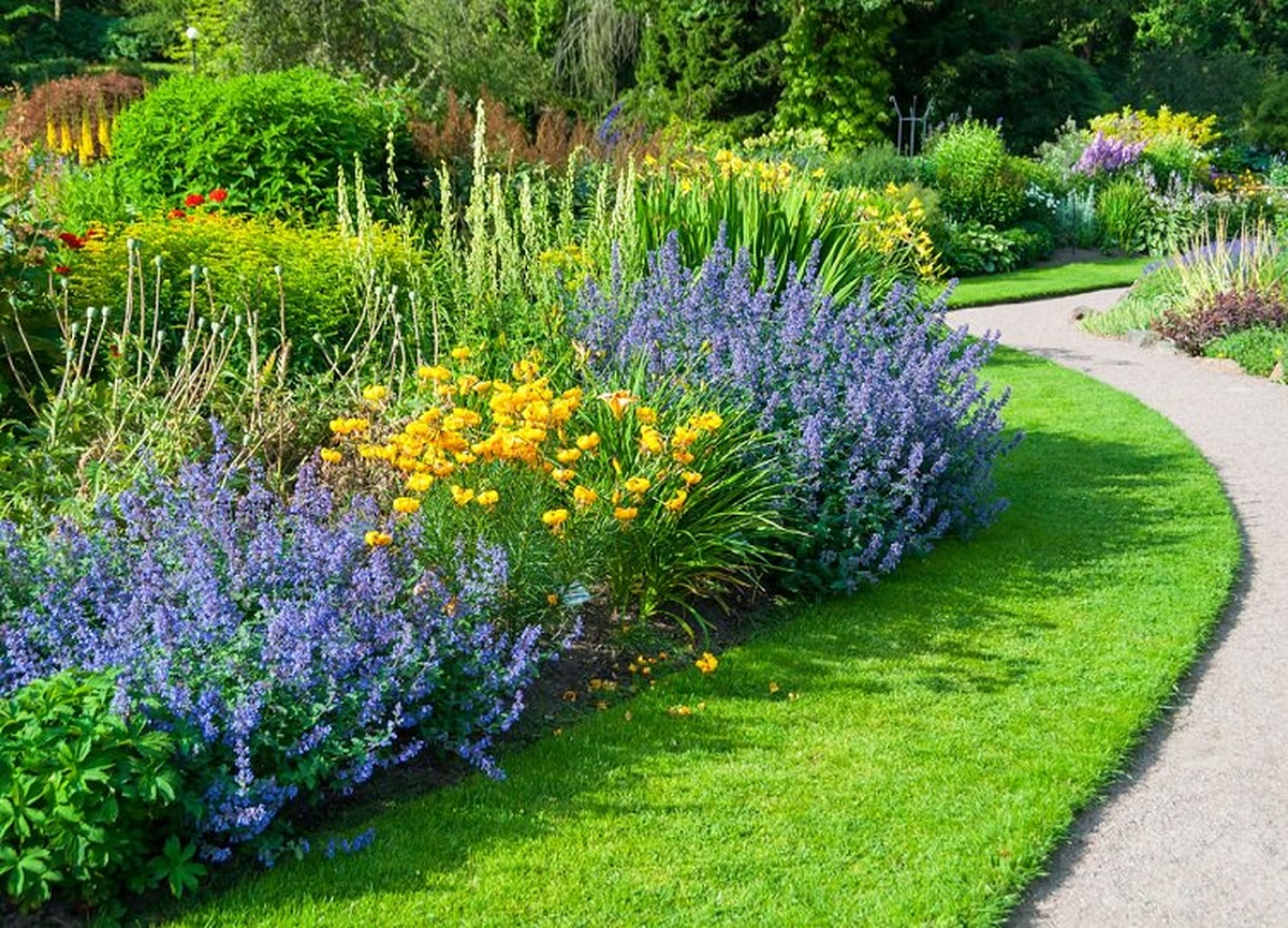 5 Essential Ways To Keep Plants Healthy & Productive