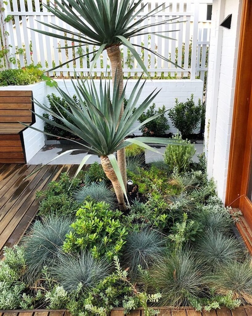 21 Gorgeous Spiky Plants That Will Transform Your Garden