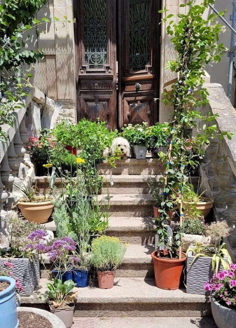 20 Stunning Plants for Steps and Staircases That Transform Space