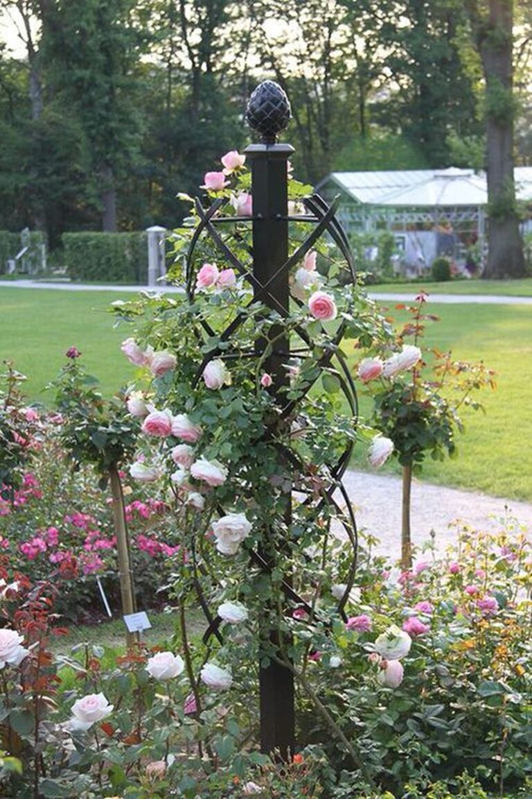26 Beautiful DIY Rose Trellis Ideas for Your Garden