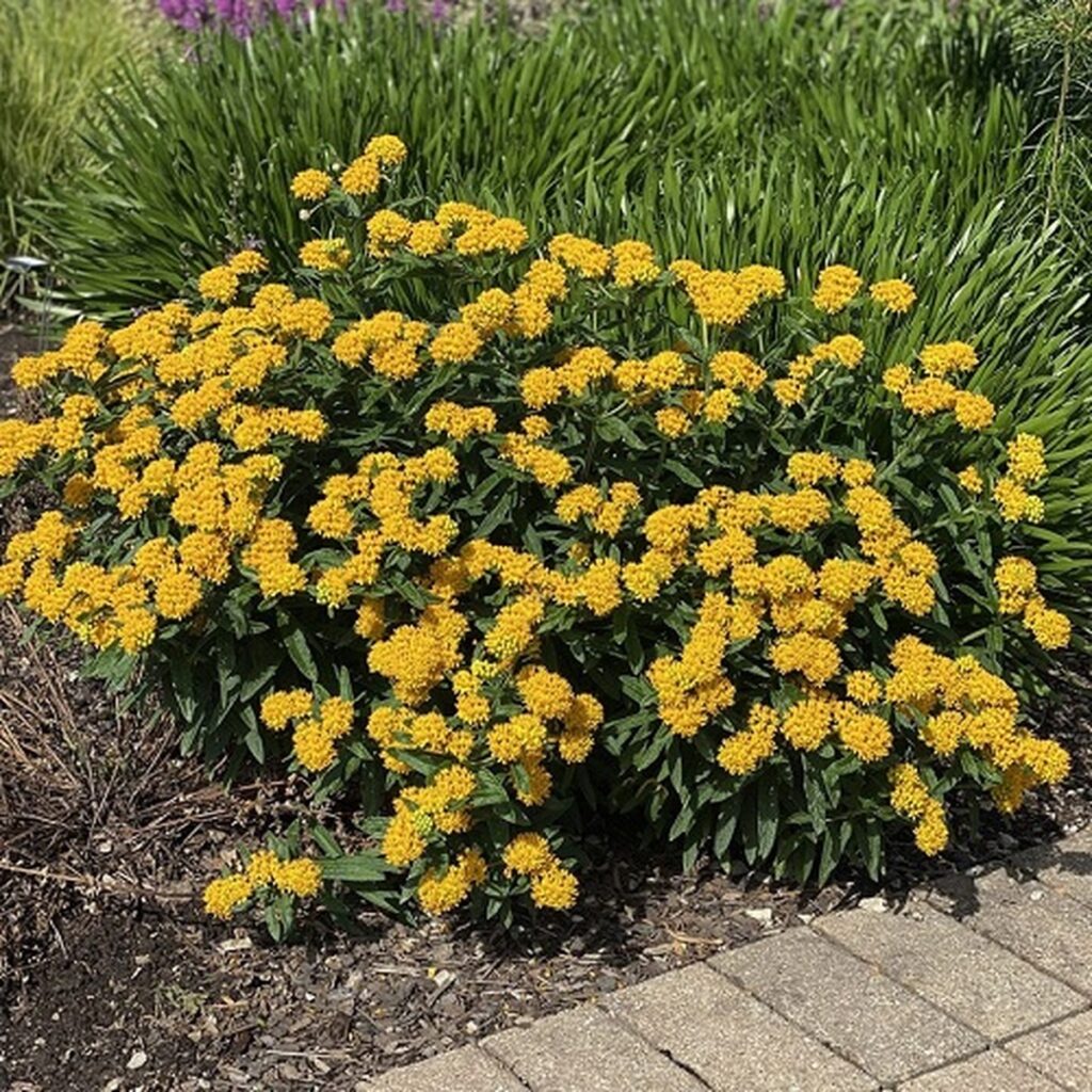 15 Gorgeous Chicago Native Plants for Your Enchanting Garden