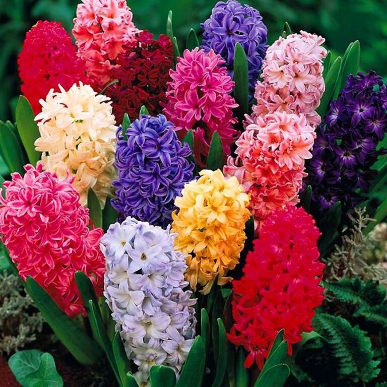 47 Most Fragrant Flowers That Fill Gardens With Sweet Scents