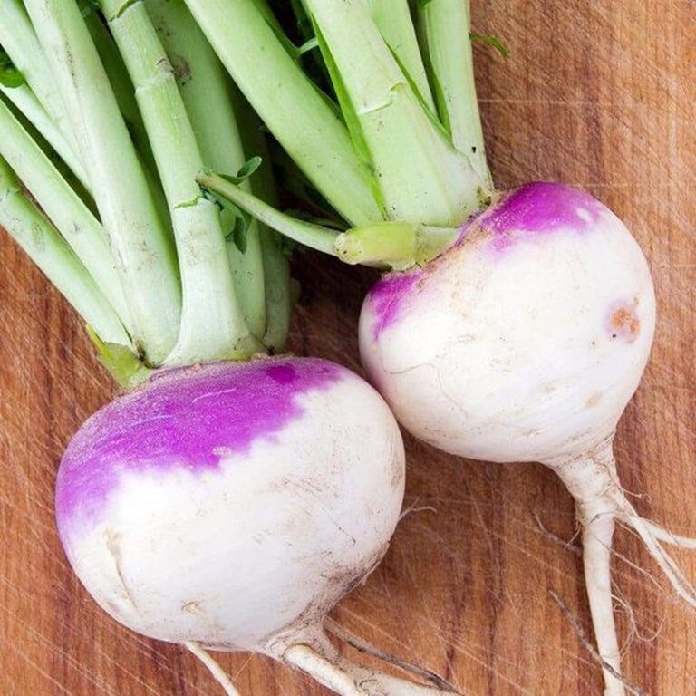 23 Delicious Types of Turnips: Best Varieties for Your Garden