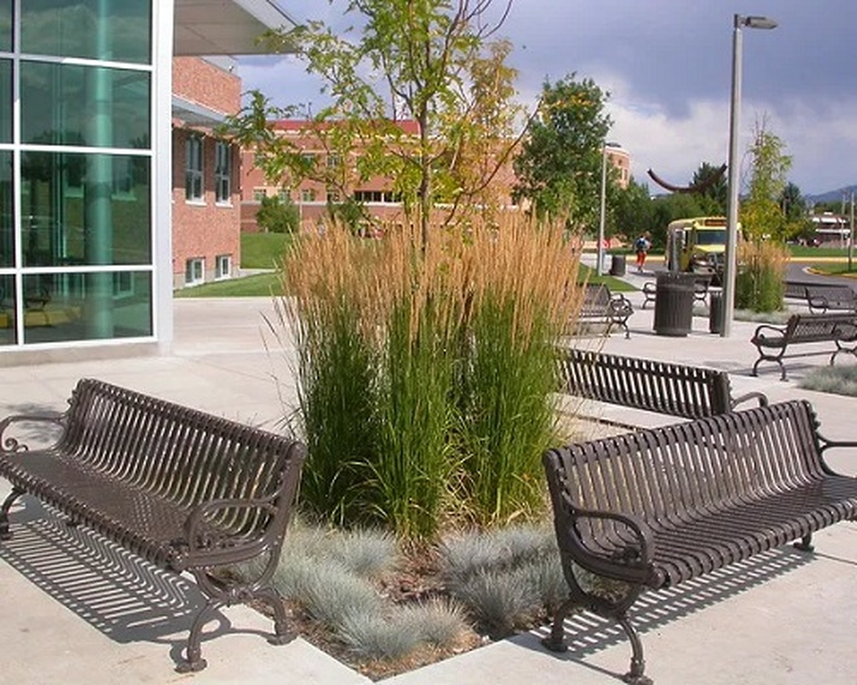 15 Stunning Tall Grasses for Privacy That Transform Your Space