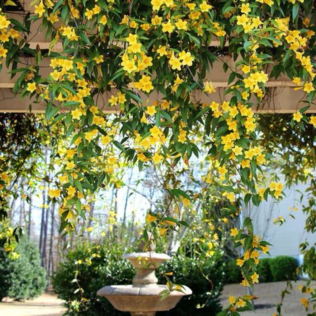 47 Most Fragrant Flowers That Fill Gardens With Sweet Scents