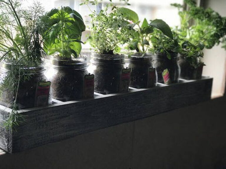 16 Efforless DIY Indoor Window Gardens You'll Love