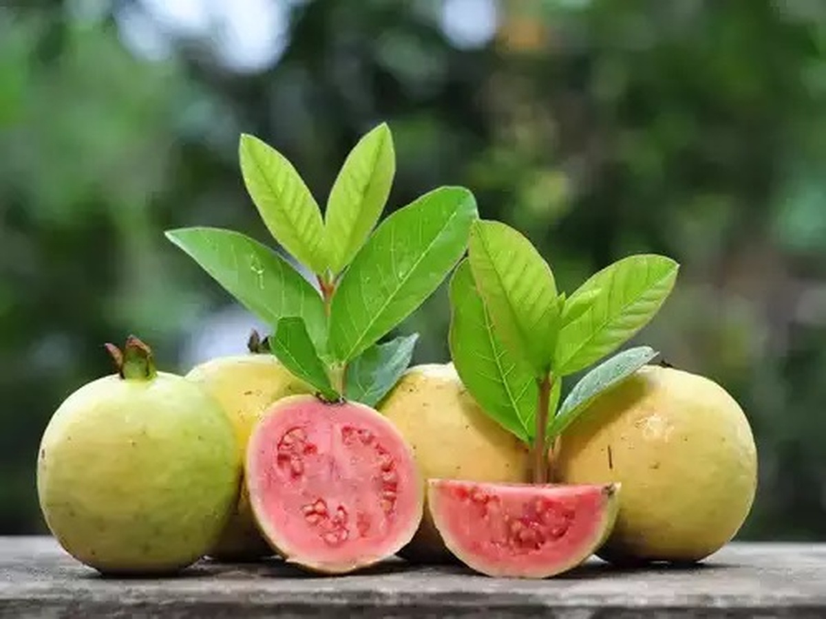 9 Delicious Red and Pink Guava Varieties to Try Today