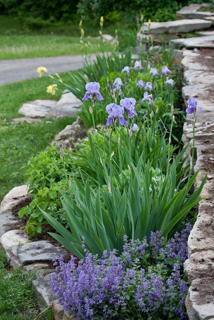 24 Stunning Iris Arrangement Ideas That Brighten Any Space