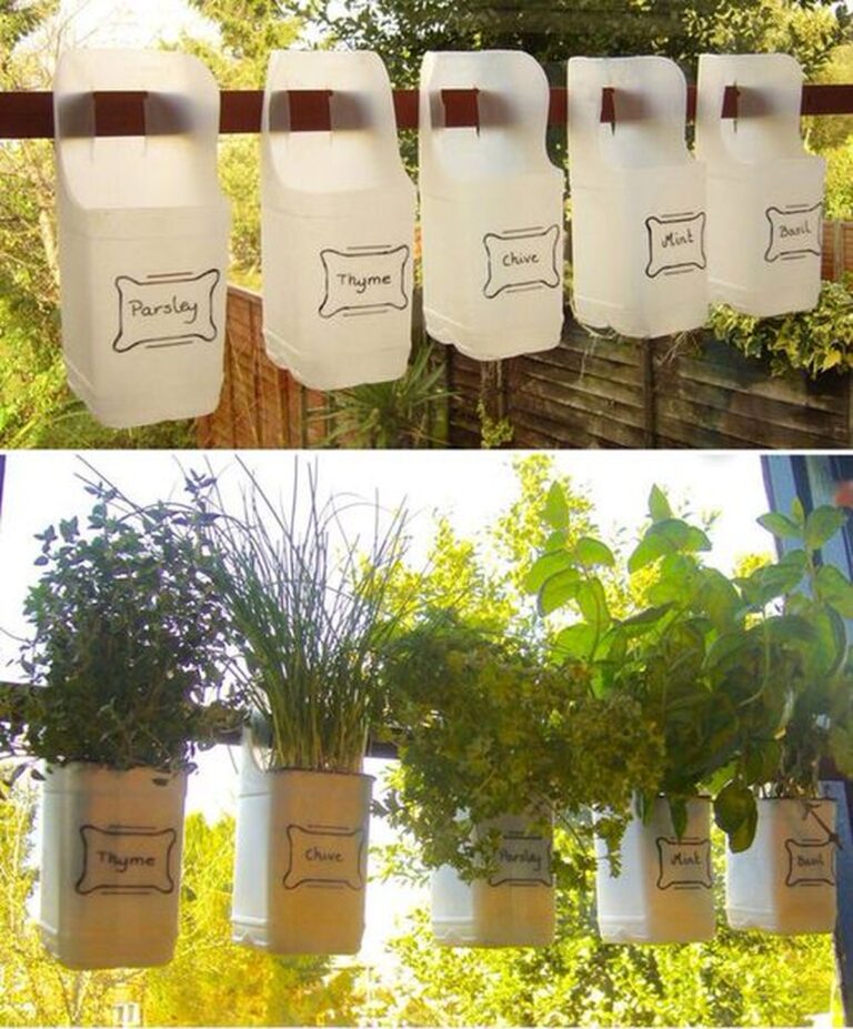 20 Brilliant DIY Milk Jug Uses in Garden That Spark Creativity